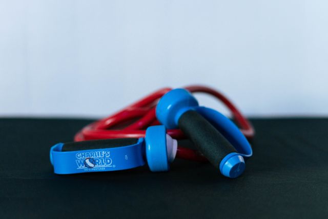 Weighted Jump Rope | #1 Gym In West LA | Sparta Academy